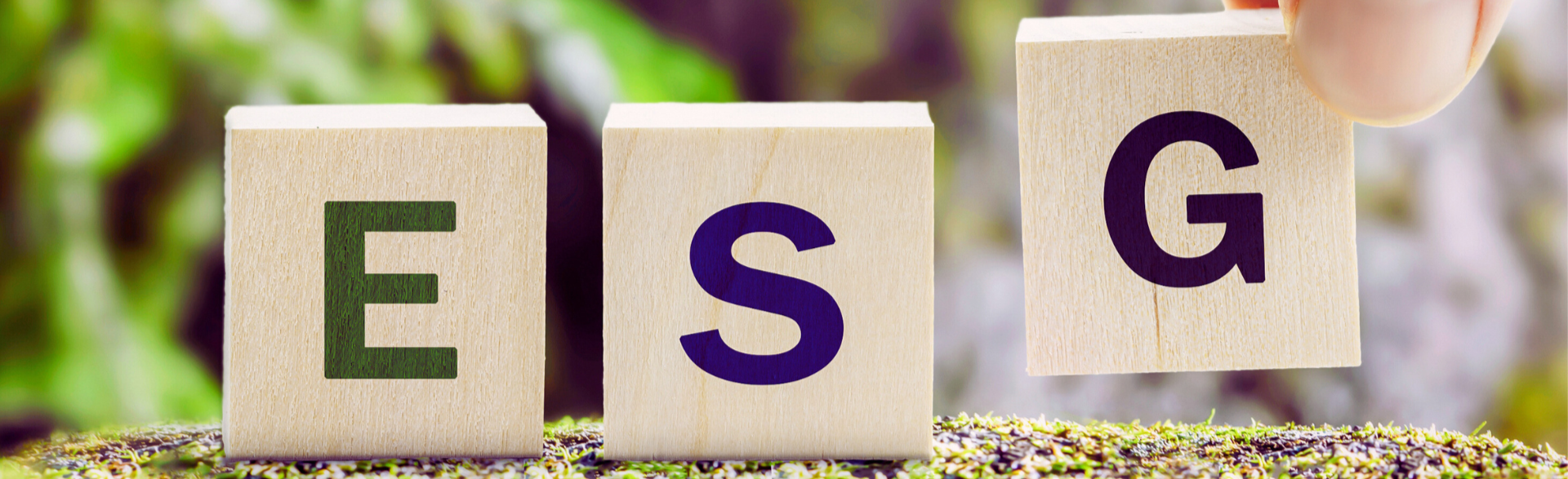 SEBI Circular on BRSR Core Standards (December 20, 2024): A ...